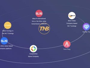 What is Time New Bank (TNB) and should you invest in it?