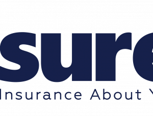 isure offers different types of insurance to its customers